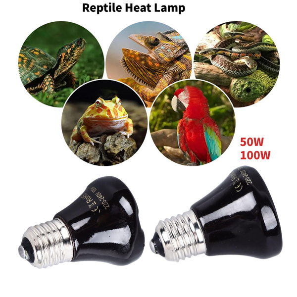 Reptile Heat Lamp Ceramic Heat Emitter No Light Emitting Heat Bulbs for ...
