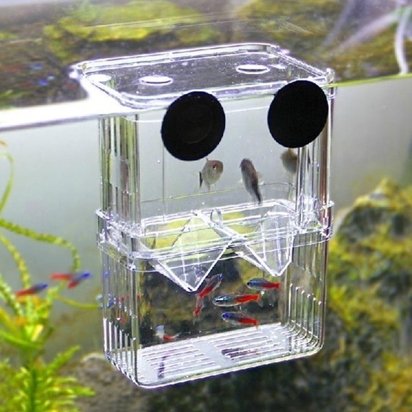 Multifunctional High Clear Fish Breeding Isolation Box Aquarium Breeder ...