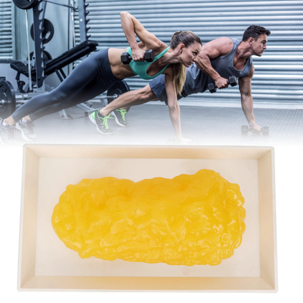 Human Body Fat Replica 1lb Human Fatty Tissue Demonstration Model for ...
