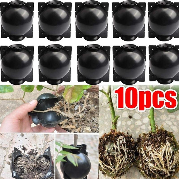 10Pcs Reusable Plant Root Growing Box Cutting Grafting Rooting Ball ...