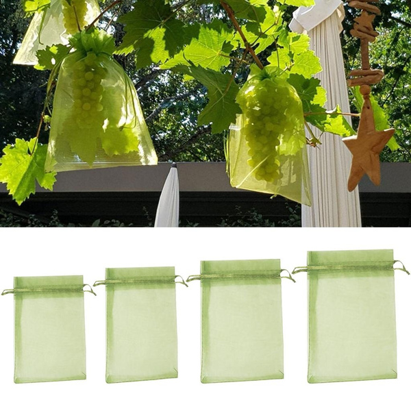 100PCS Plant Protection Bags Fruit Netting Mesh Grow Bags for ...
