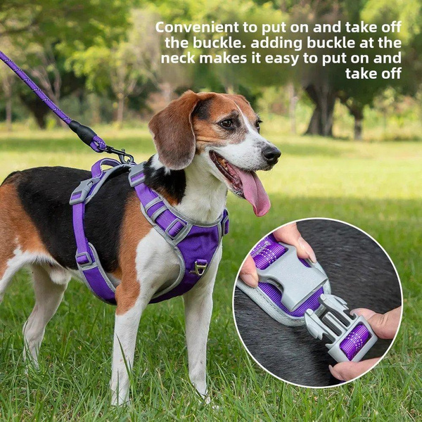 Double-Layer No-Pull Dog Harness Leash Set, Reflective Colorblock Vest ...